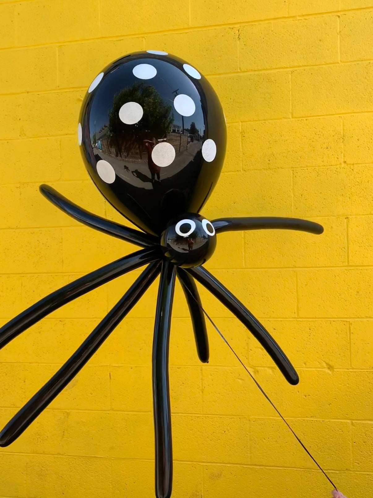 Specialty Balloon - Spider – Pioneer Party Gift and Copy